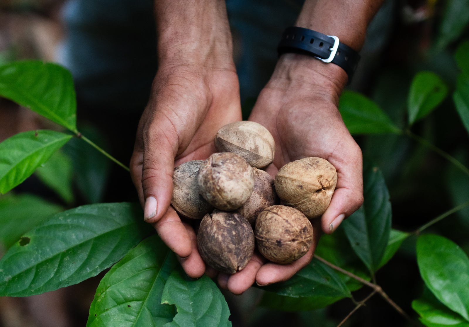 Interview with Dr. Gabriel Serrano in the January 2026 edition of ...